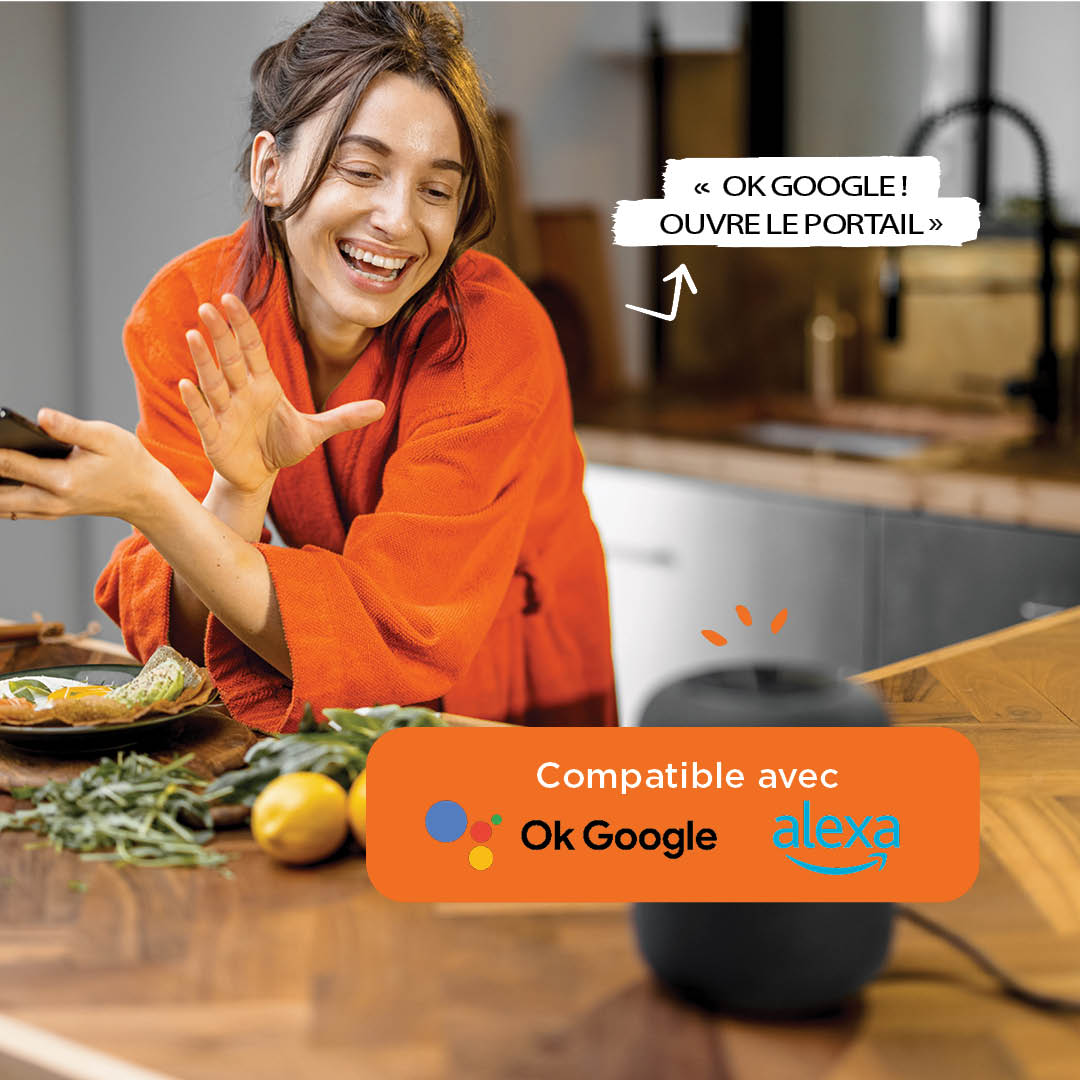 Comment rendre mon portail connecté ? - SCS Sentinel